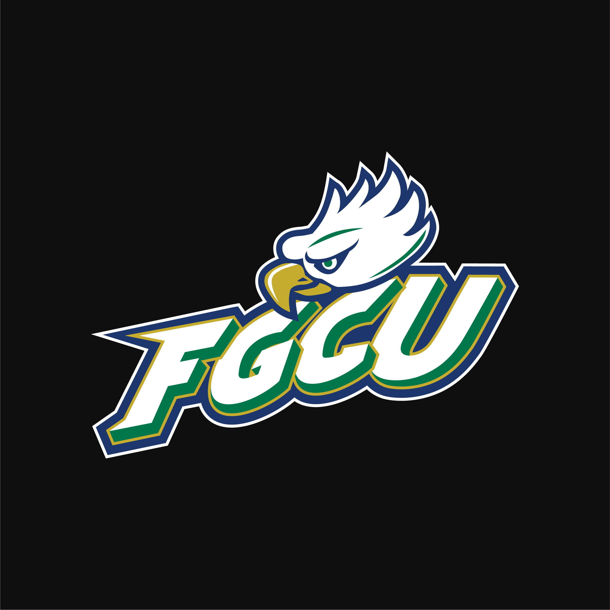 Florida Gulf Coast University | Apparel & Merch | University Tees ...